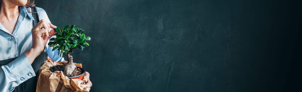 Open Bank Account Online – Standard Chartered UAE