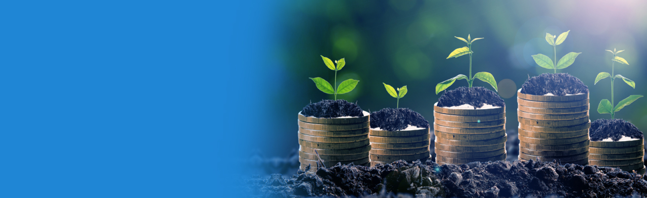 Saadiq Savings Account – Standard Chartered UAE