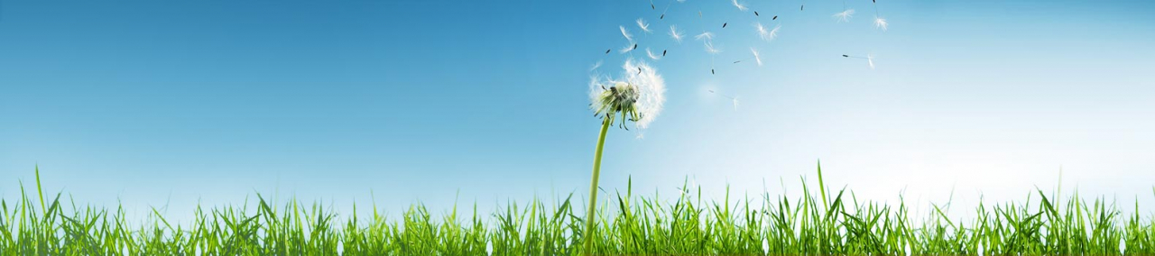 360° Rewards – Priority Banking – Standard Chartered HK