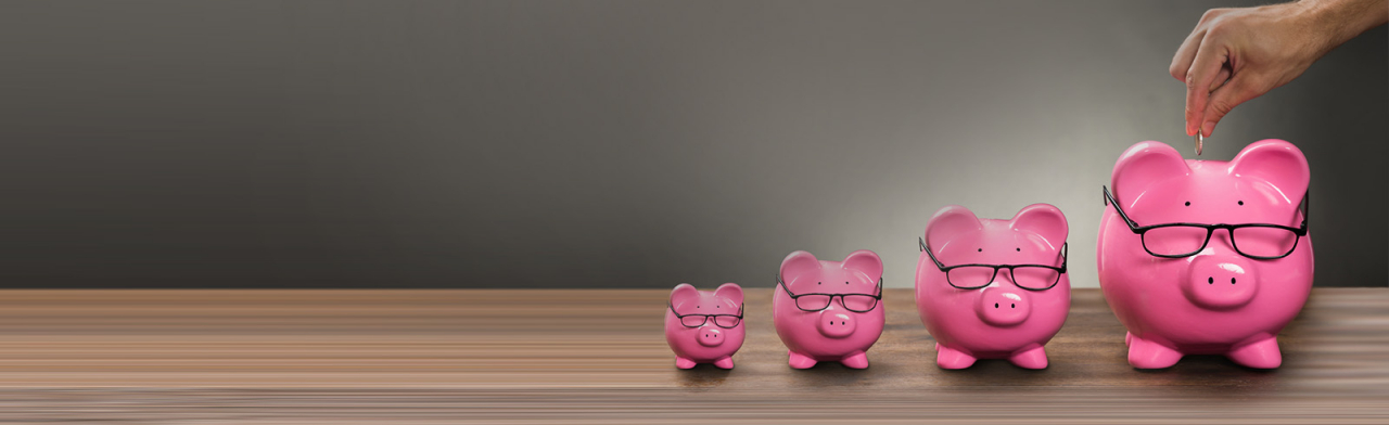 Bank Accounts & Deposits Schemes: Apply for Bank Deposit – Standard ...