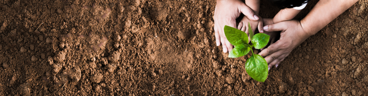 Sustainable Time Deposit Interest Rates - Standard Chartered Singapore